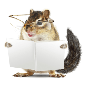 Interesting Facts About Squirrels | Updated: January 2026