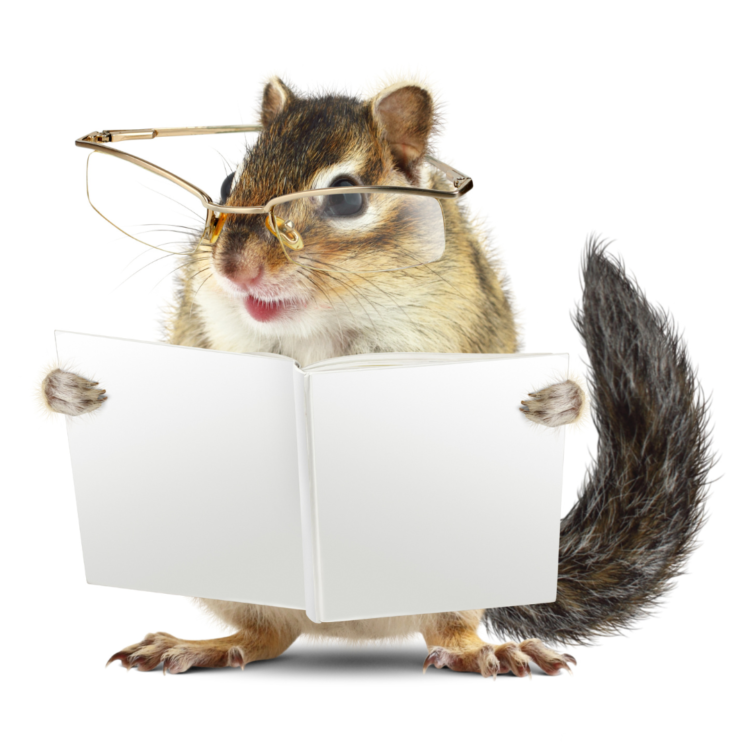 Interesting Facts About Squirrels | Updated: January 2026