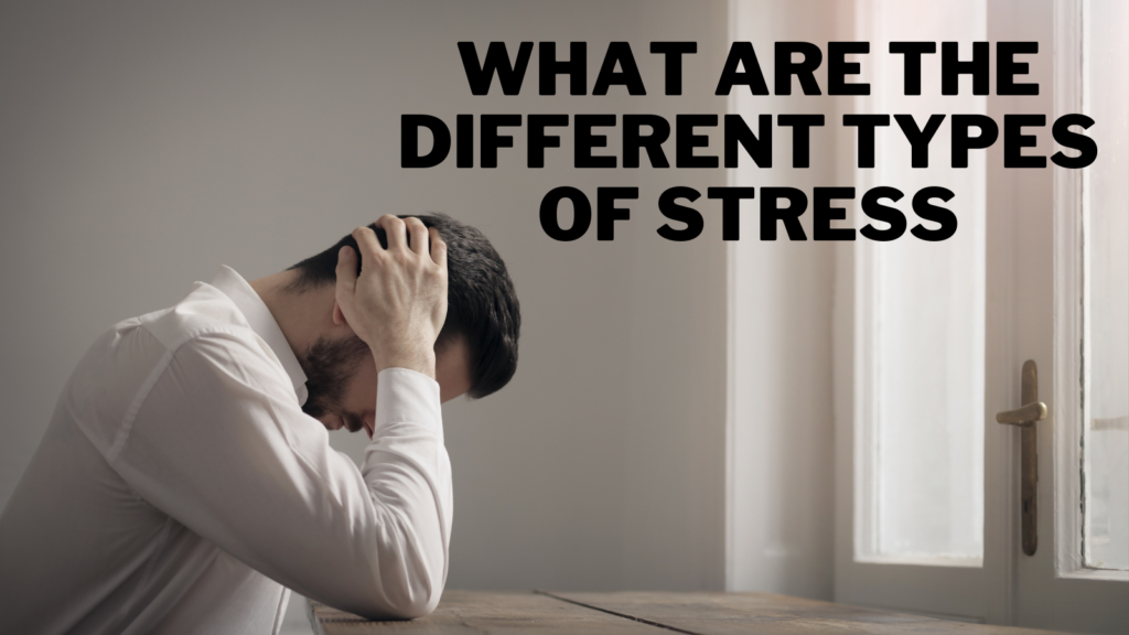 Types Of Stress Archives | Close To Nature