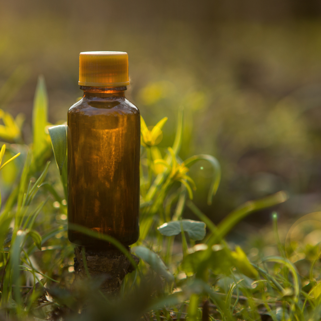 5 Old Remedies That Are Still Healing Us | Close To Nature