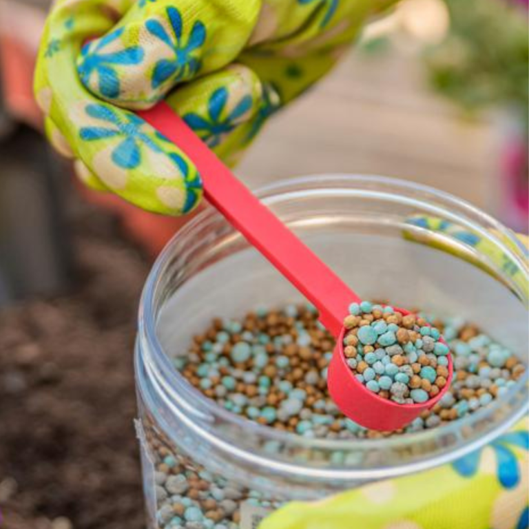 8 Easy Steps Of How To Grow Beets In Containers In 2026