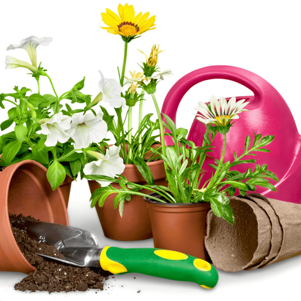 Best Gardening Lessons For Beginners In 2026 | Close To Nature