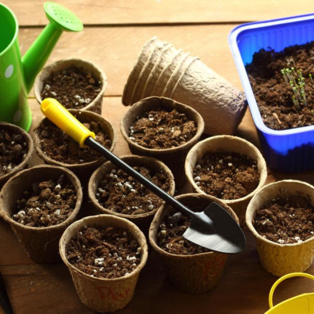 9 Easy Steps To Grow Roses In Containers | Close To Nature