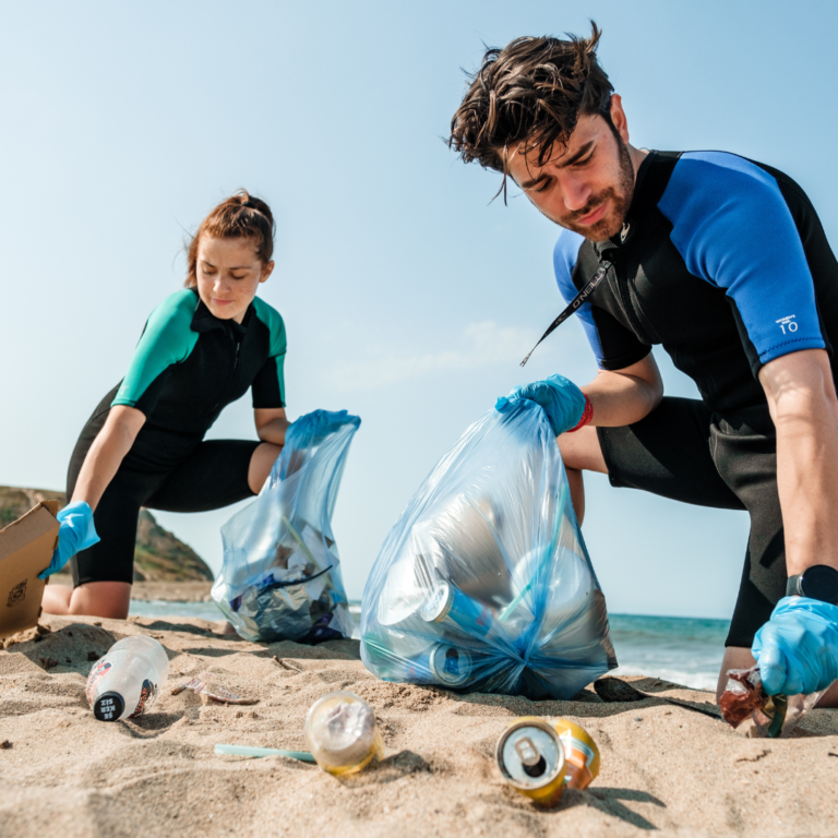 Why Is Wildlife Important And How Can We Protect It In 2025