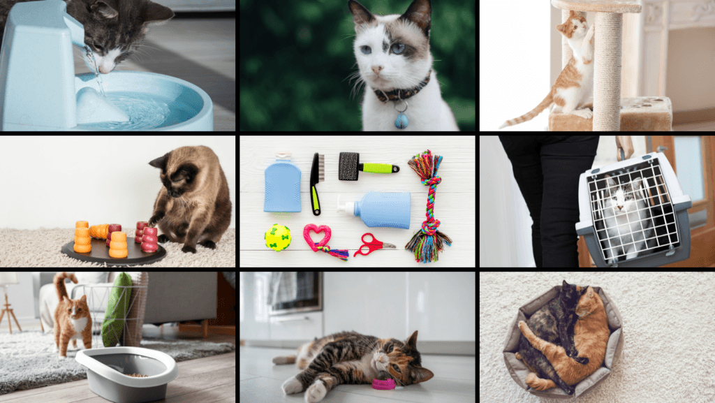Top Cat Products | Updated: March 2026 | Close To Nature