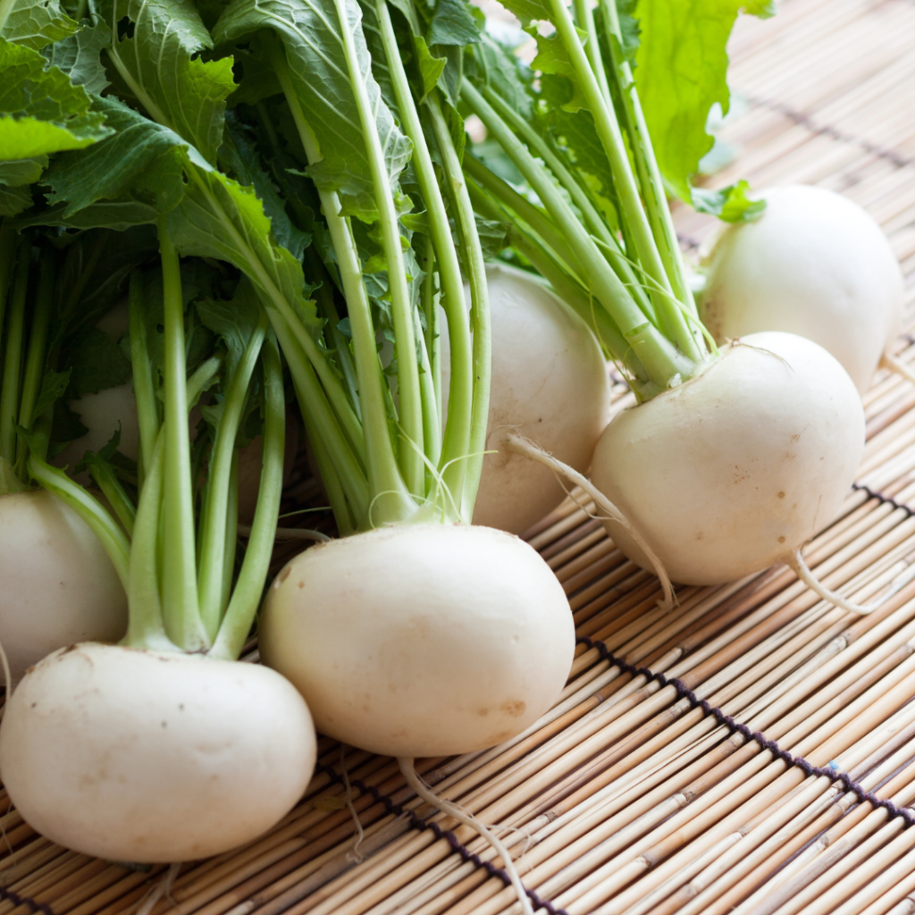 Best Steps To Grow Turnips In Containers In 2025