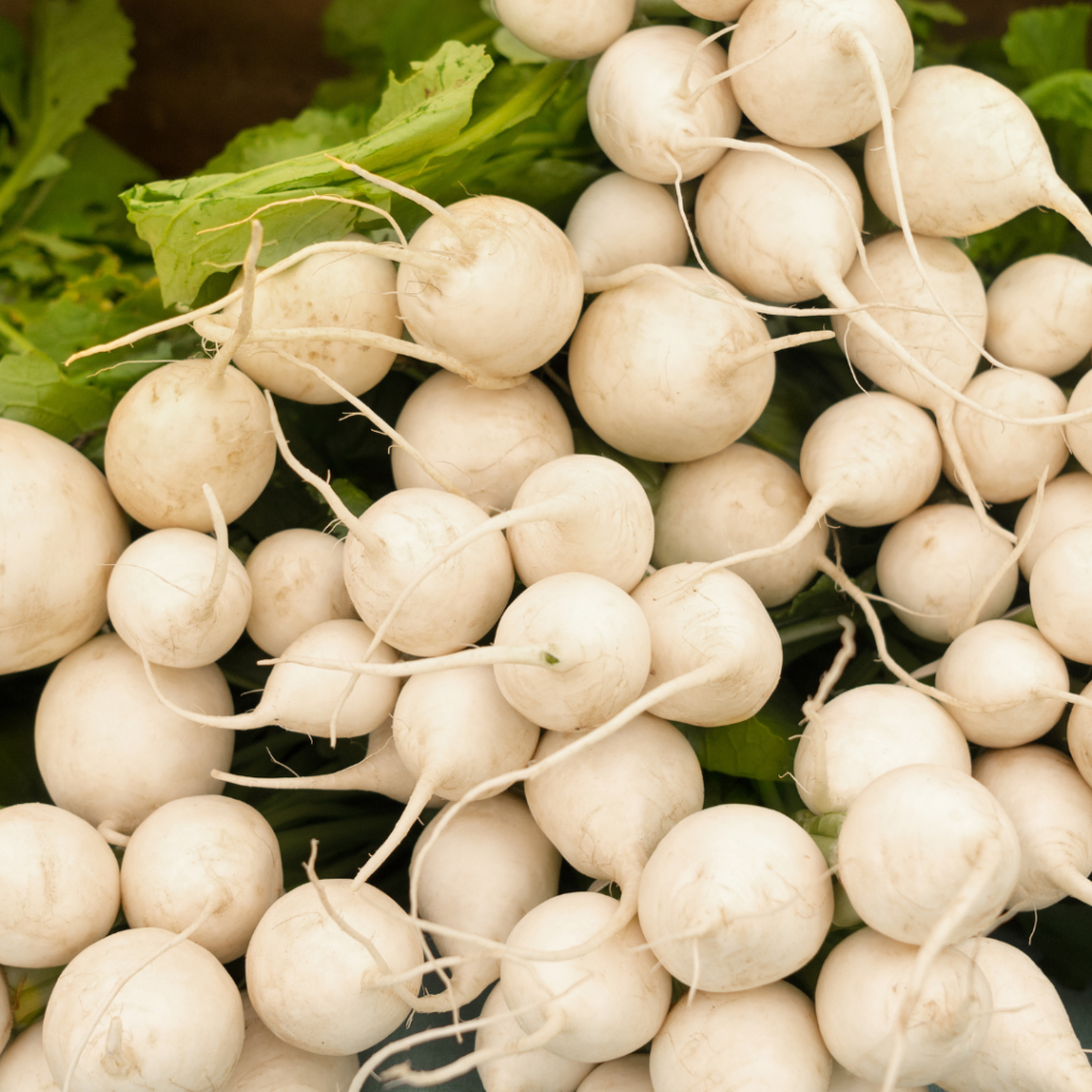 Best Steps To Grow Turnips In Containers In 2025