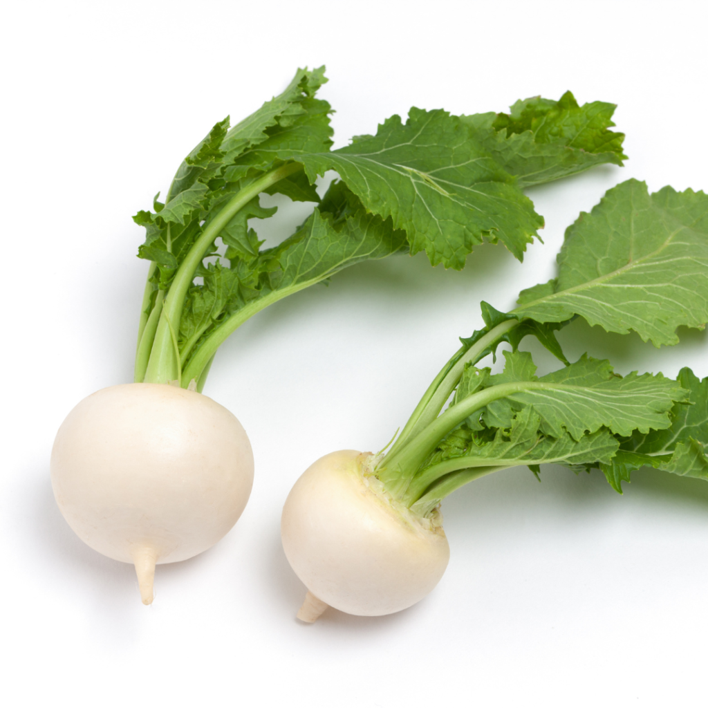 Best Steps To Grow Turnips In Containers In 2026