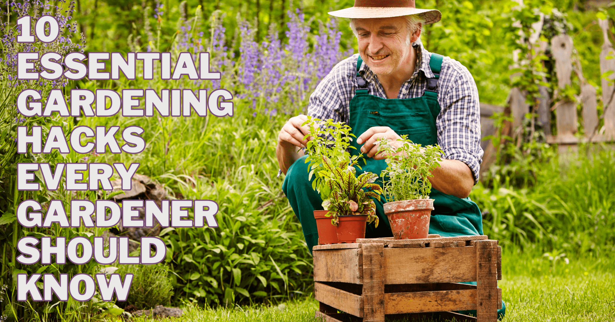 10 Essential Gardening Hacks Every Gardener Should Know 2026