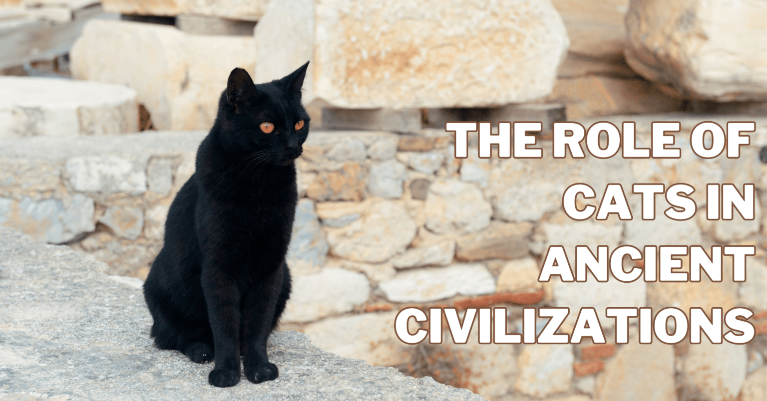 The Role Of Cats In Ancient Civilizations | Updated In 2025