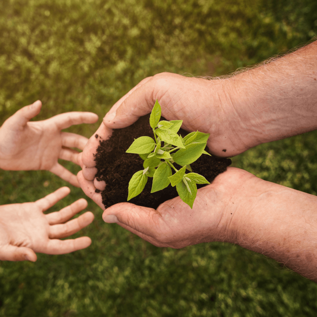 How To Grow Acacia Trees In 2026 | Close To Nature