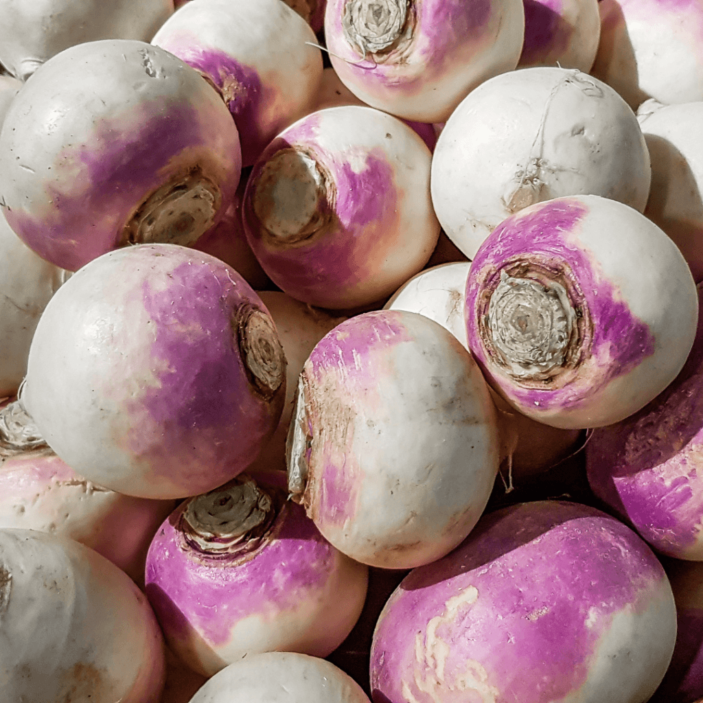 Best Tips To Grow Rutabaga In 2026 | Close To Nature