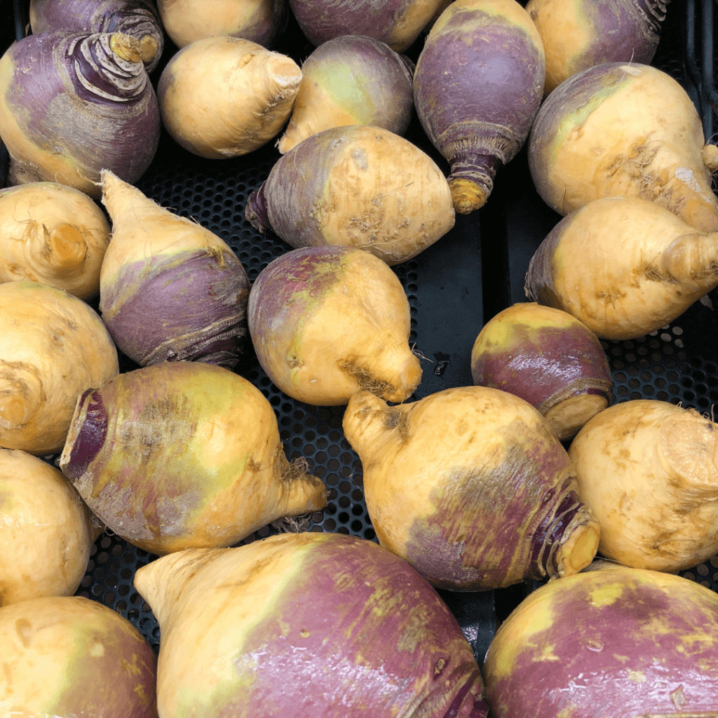 Best Tips To Grow Rutabaga In 2025 | Close To Nature