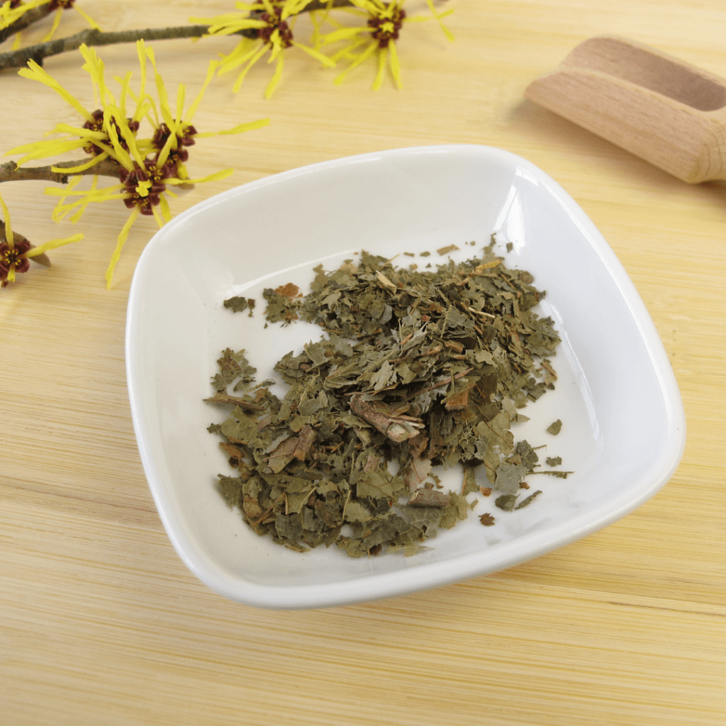 Best Tips To Grow Witch Hazel In Containers | Updated: 2025