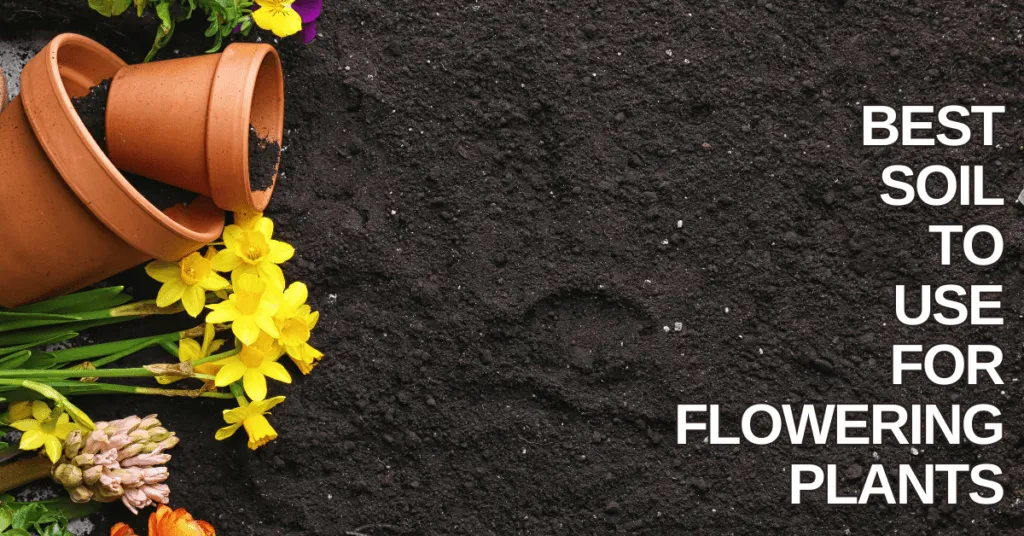 Best Soil To Use For Flowering Plants 2026 | Close To Nature