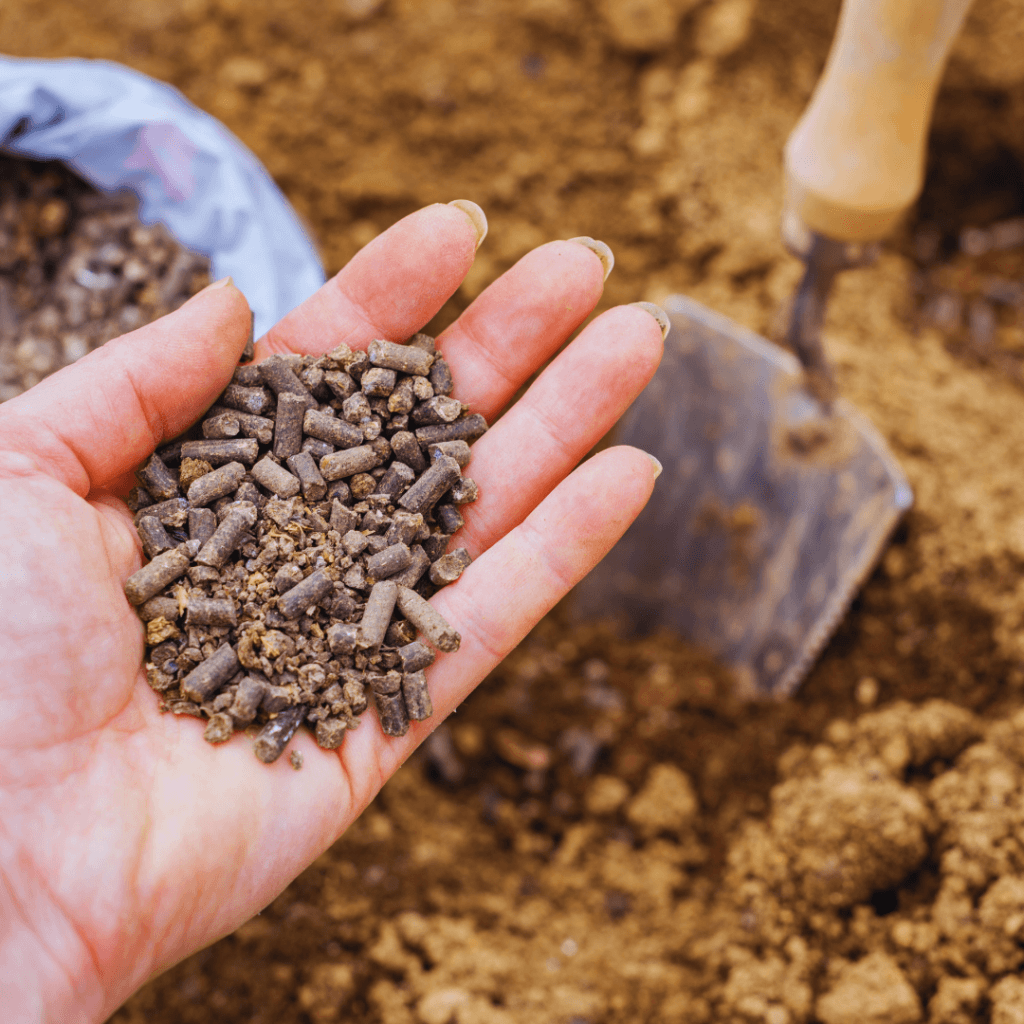 Best Ways To Prepare Soil For Fruit Trees | Updated In 2025