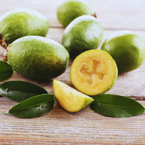 The Beginner's Feijoa Growing Guide 2025 | Close To Nature