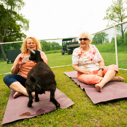 The Surprising Benefits Of Goat Yoga 2026 | Close To Nature