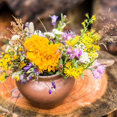 How To Grow Wildflowers In Pots In 2026 | Close To Nature