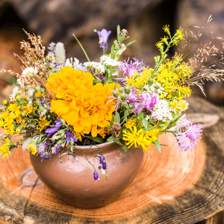How To Grow Wildflowers In Pots In 2026 | Close To Nature