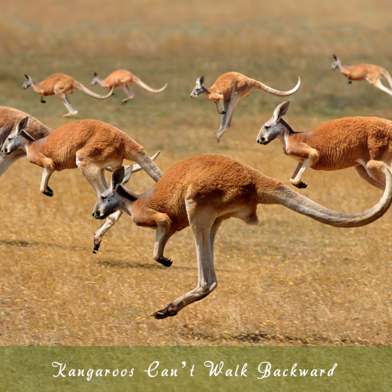 Fun Facts About Animals In 2026 | Close To Nature