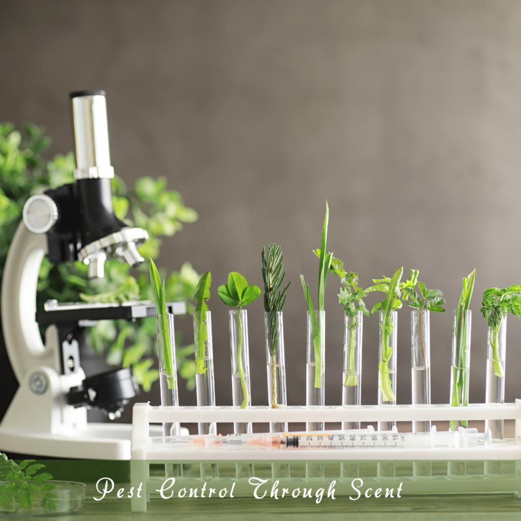 Ultimate Companion Planting Chart In 2025 | Close To Nature